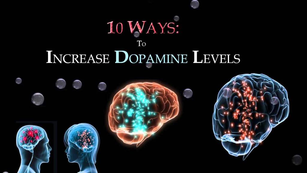 Can you increase Dopamine in your brain without medication? – Twitchy Woman